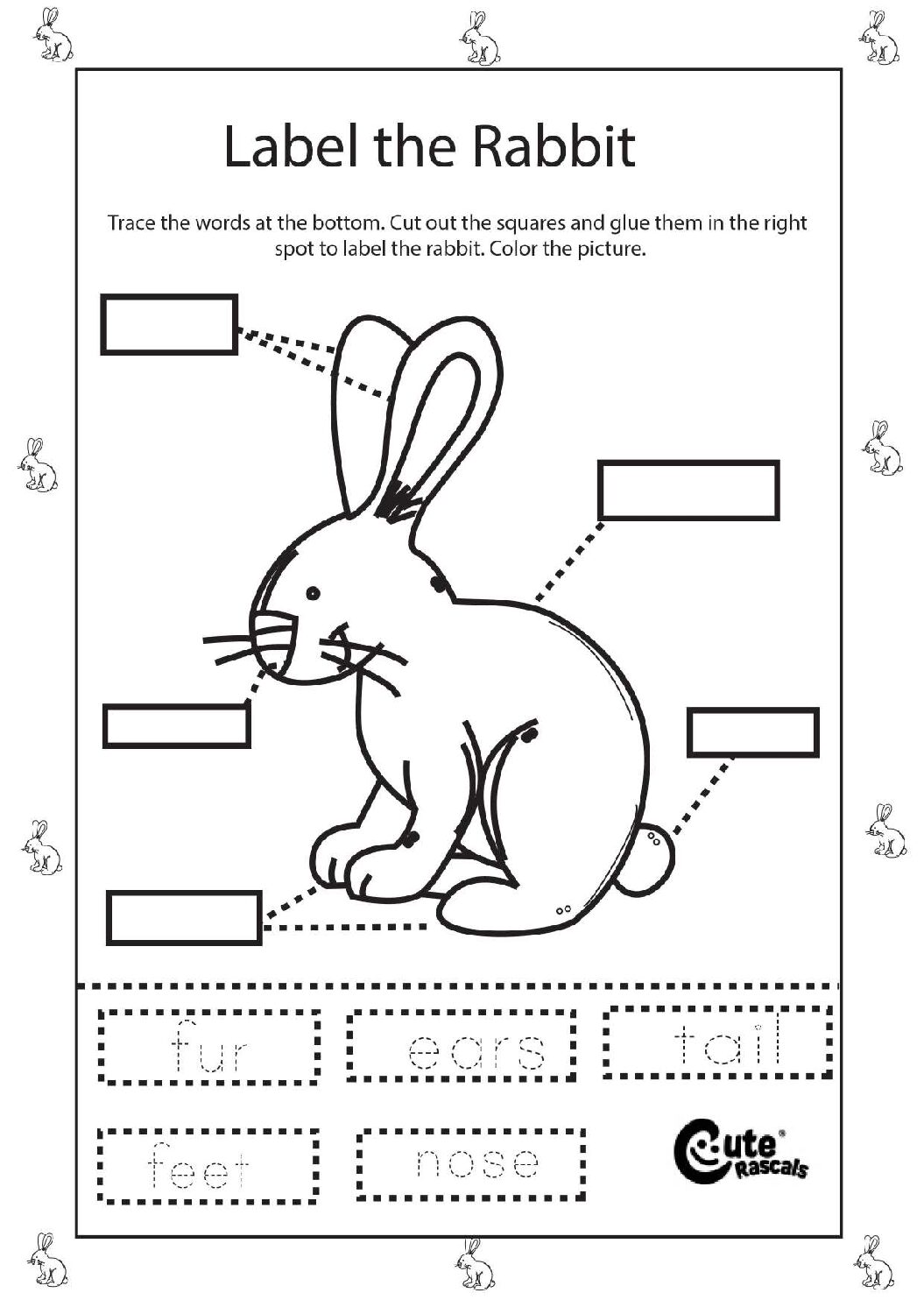 Easy Science Activities for Kids - Rabbit's Body - Mighty Kids