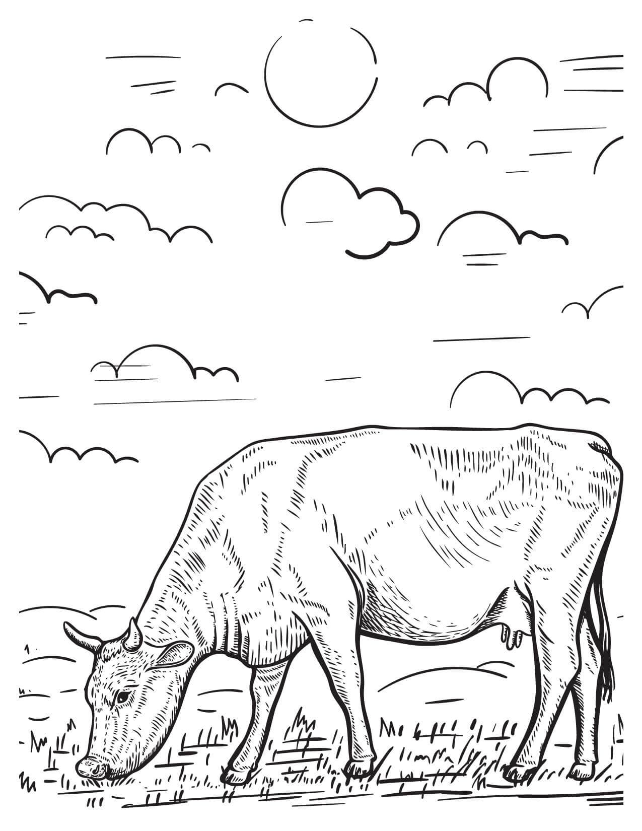 Gentle Cows Coloring Pages Fun And Free Printable Designs