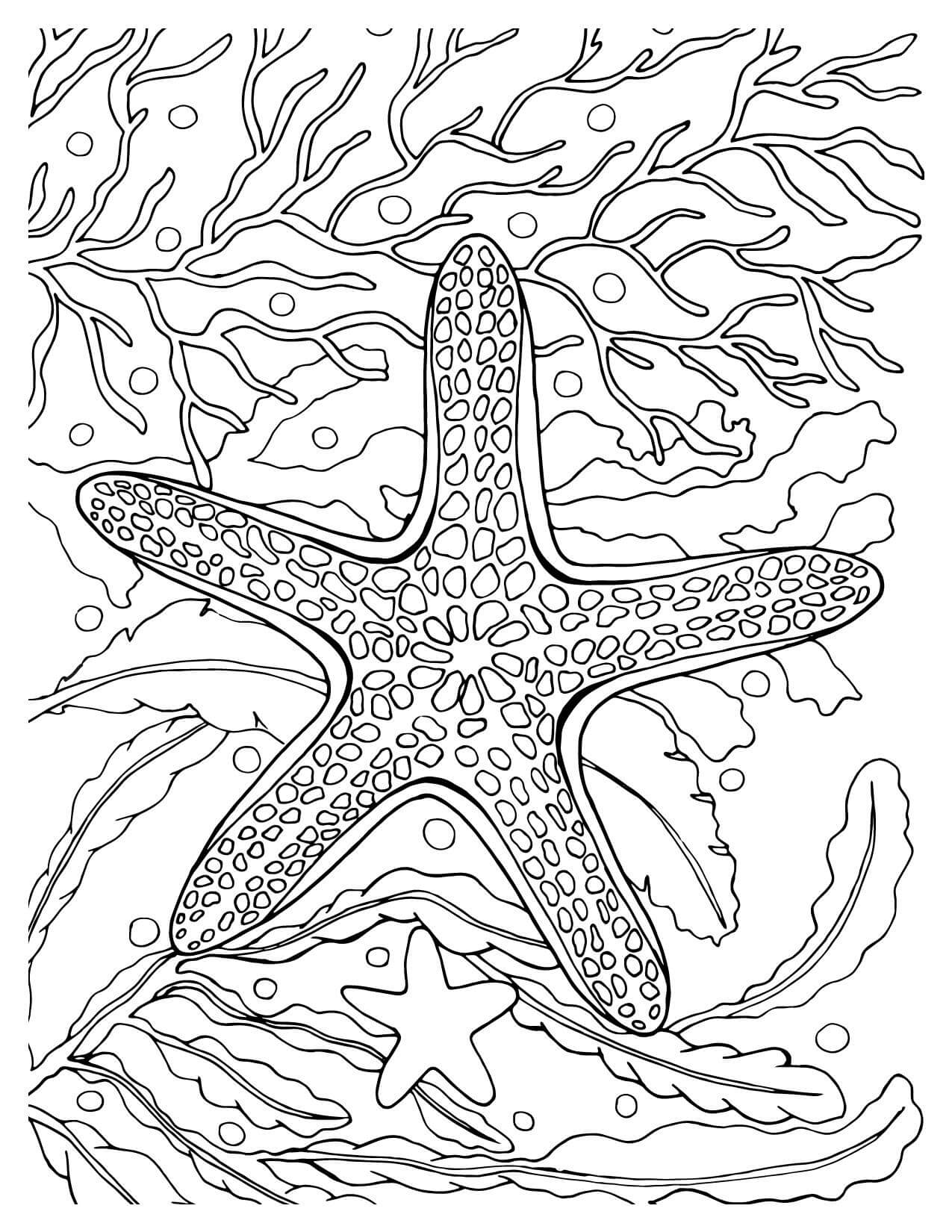 Deep Sea Coloring Pages | Explore Underwater Wonders