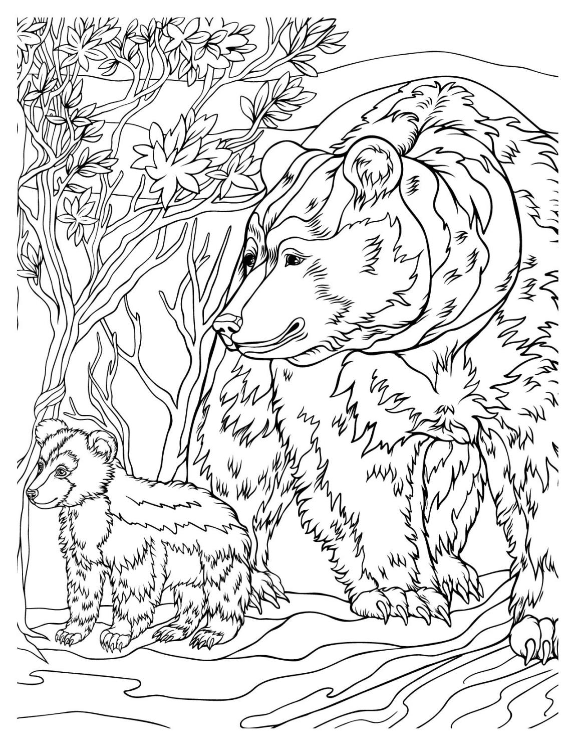 Wildlife Sanctuary Coloring Pages: Creative Fun
