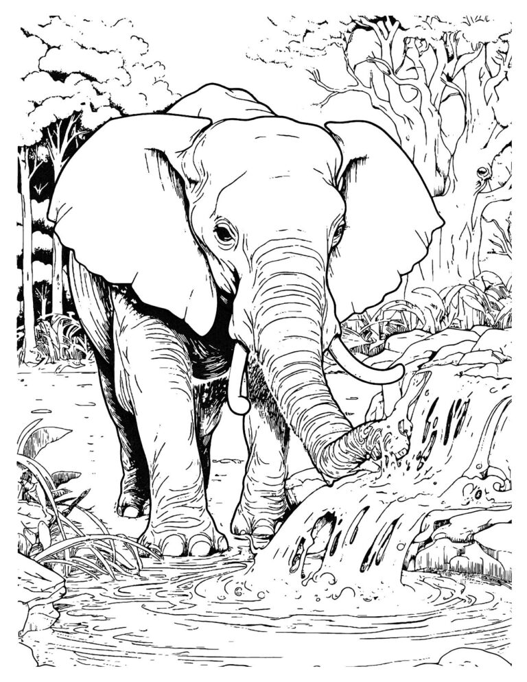 Wildlife Sanctuary Coloring Pages: Creative Fun
