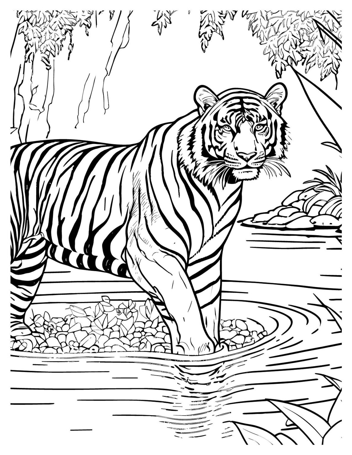 Wildlife Sanctuary Coloring Pages: Creative Fun