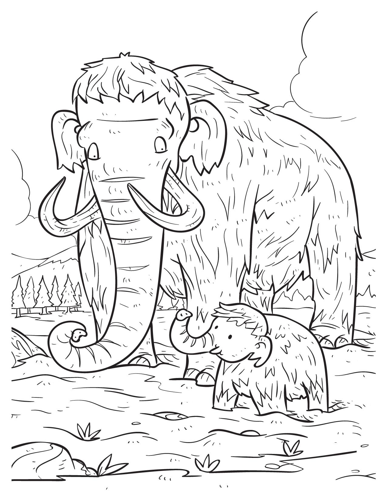 Wildlife Sanctuary Coloring Pages: Creative Fun