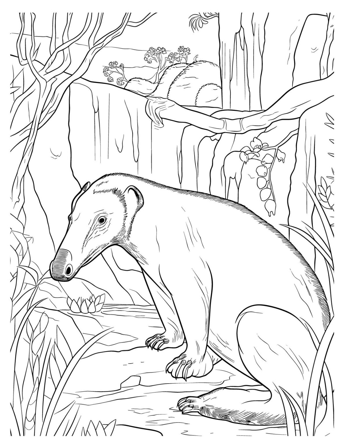 Wildlife Sanctuary Coloring Pages: Creative Fun
