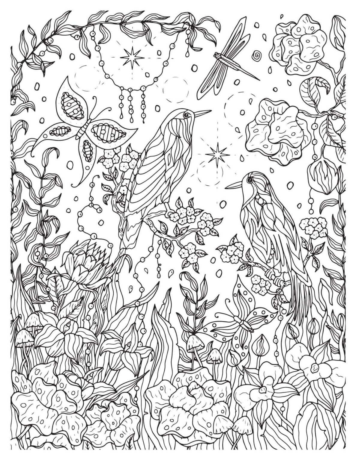 Serene Birds Coloring Pages | Escape into Nature's Harmony