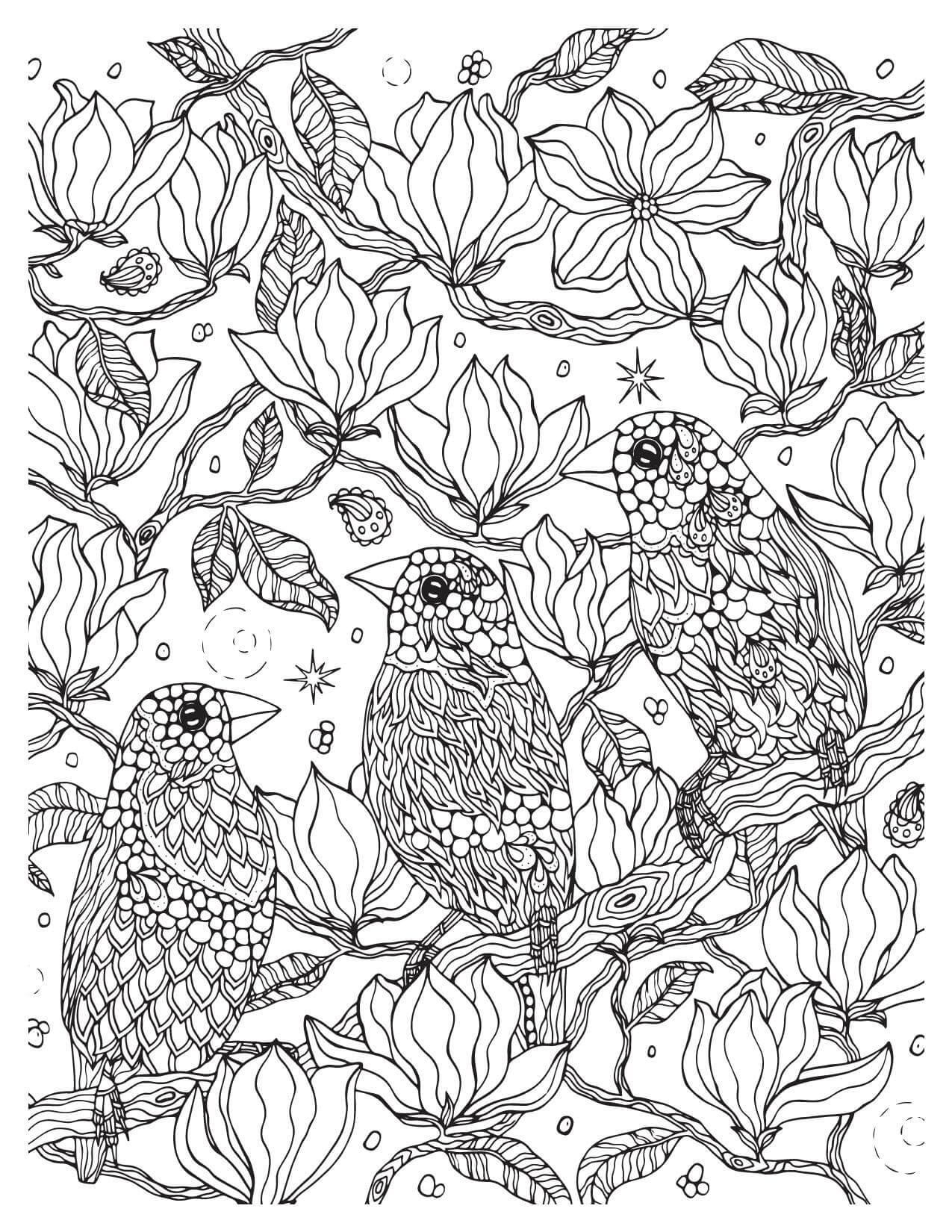 Serene Birds Coloring Pages | Escape into Nature's Harmony