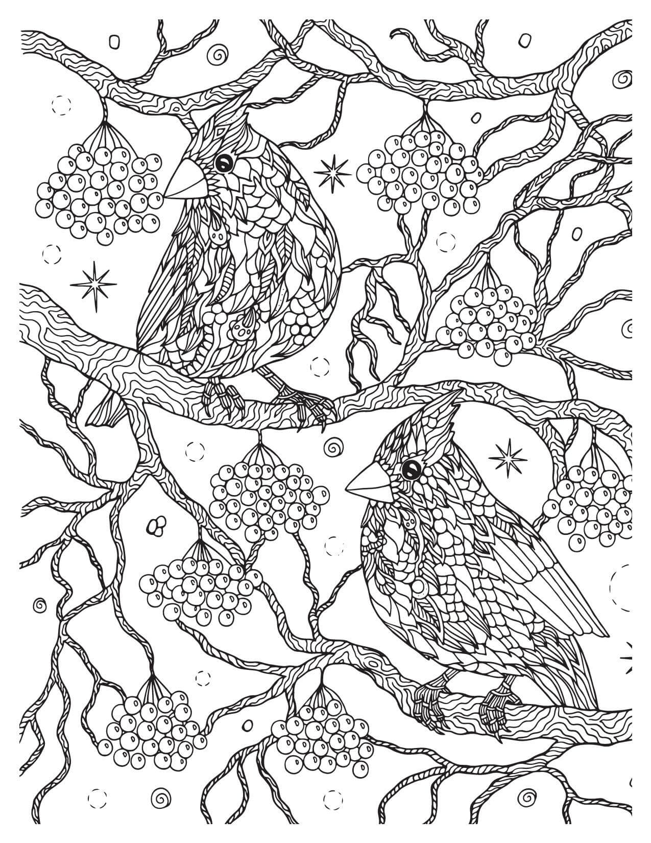 Serene Birds Coloring Pages | Escape into Nature's Harmony