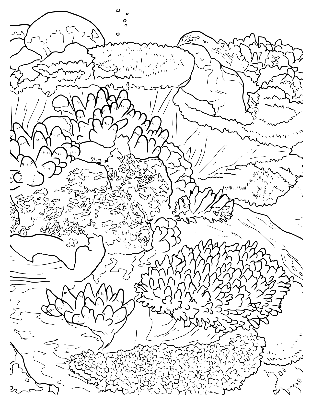 Underwater World Coloring Pages | Dive into Aquatic Art