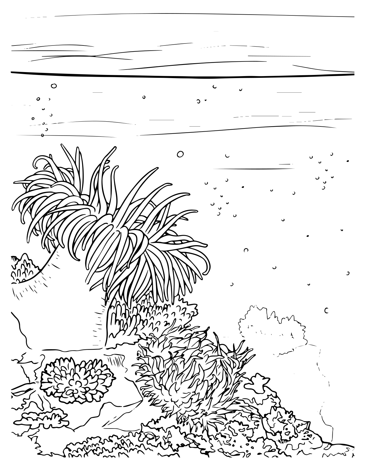Underwater World Coloring Pages | Dive into Aquatic Art