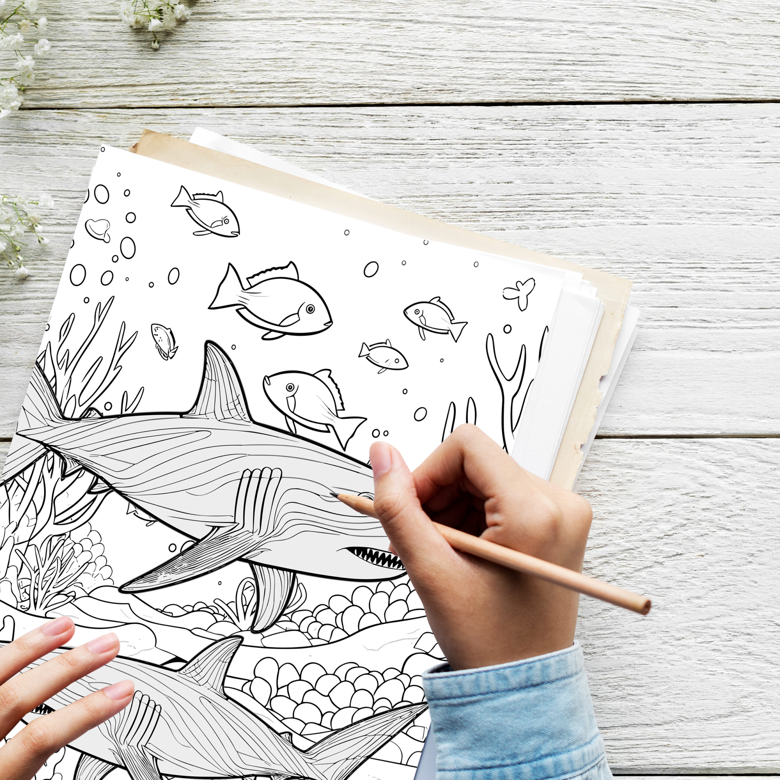 Shark Adventure Coloring Pages: Dive into Ocean Fun