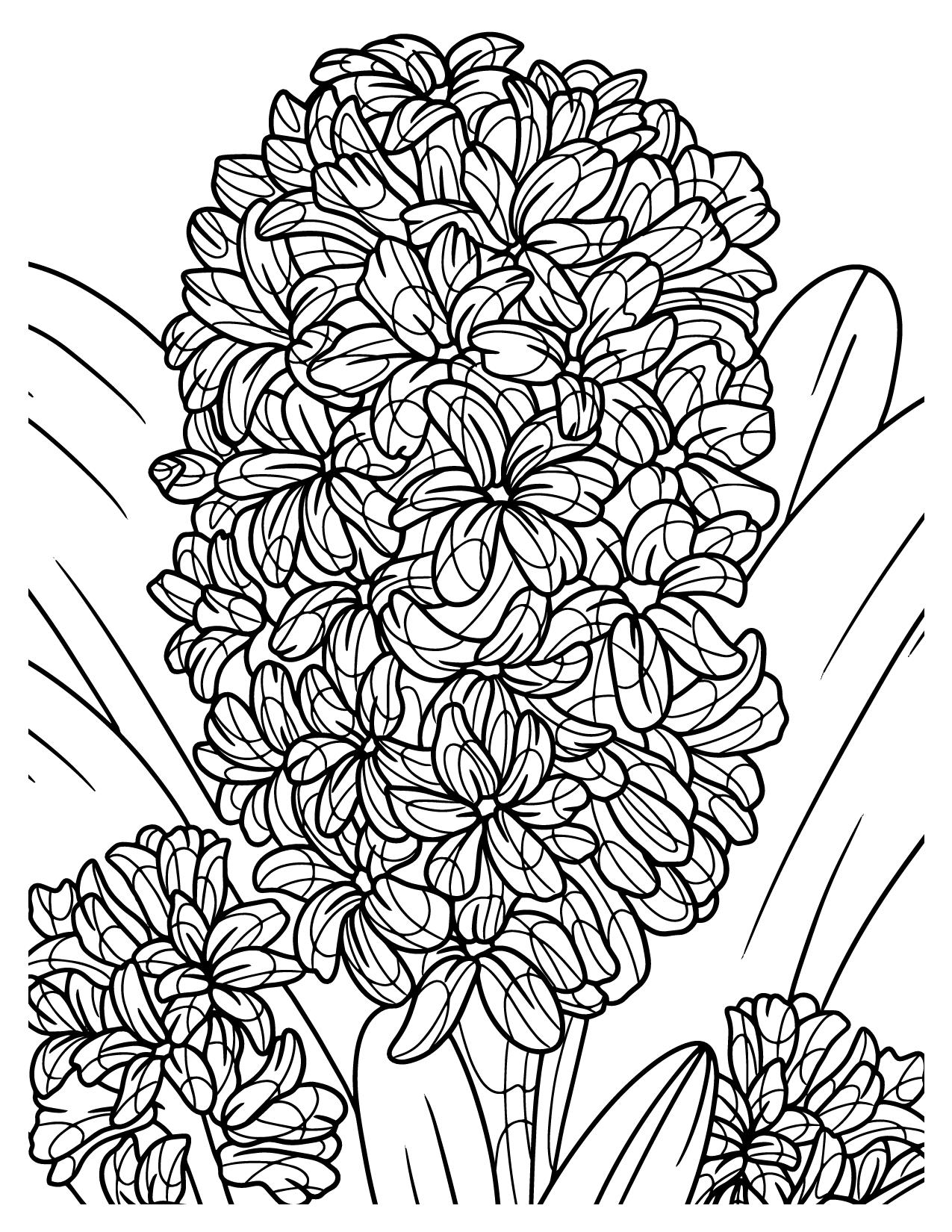 Floral Coloring Pages: Blossom Your Creativity