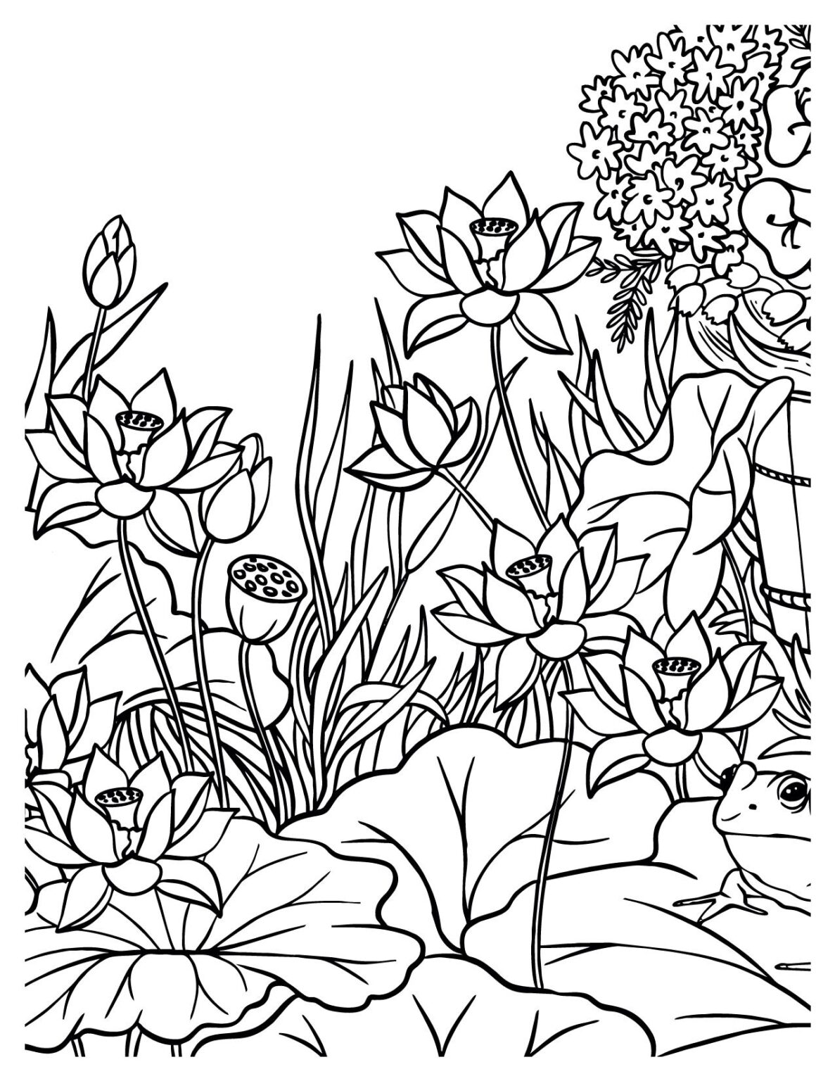 Floral Coloring Pages: Blossom Your Creativity