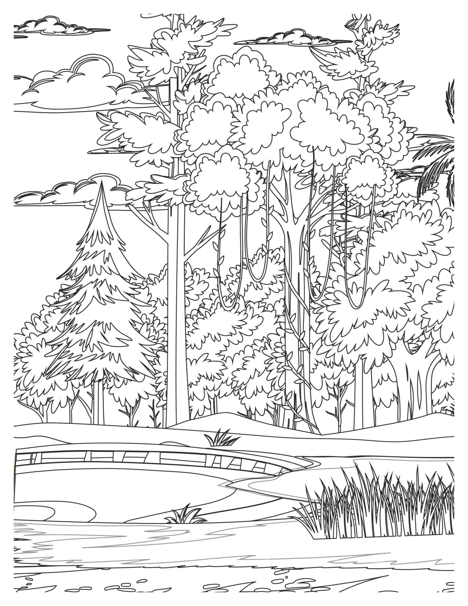 Enchanted Forest Coloring Pages: Creative Designs for All Ages