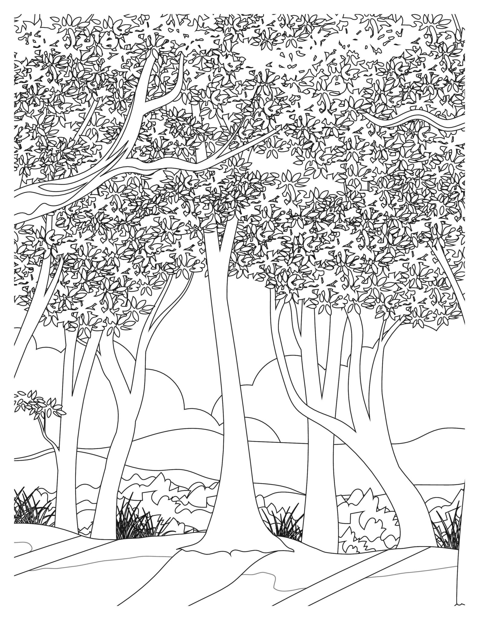 Enchanted Forest Coloring Pages: Creative Designs for All Ages