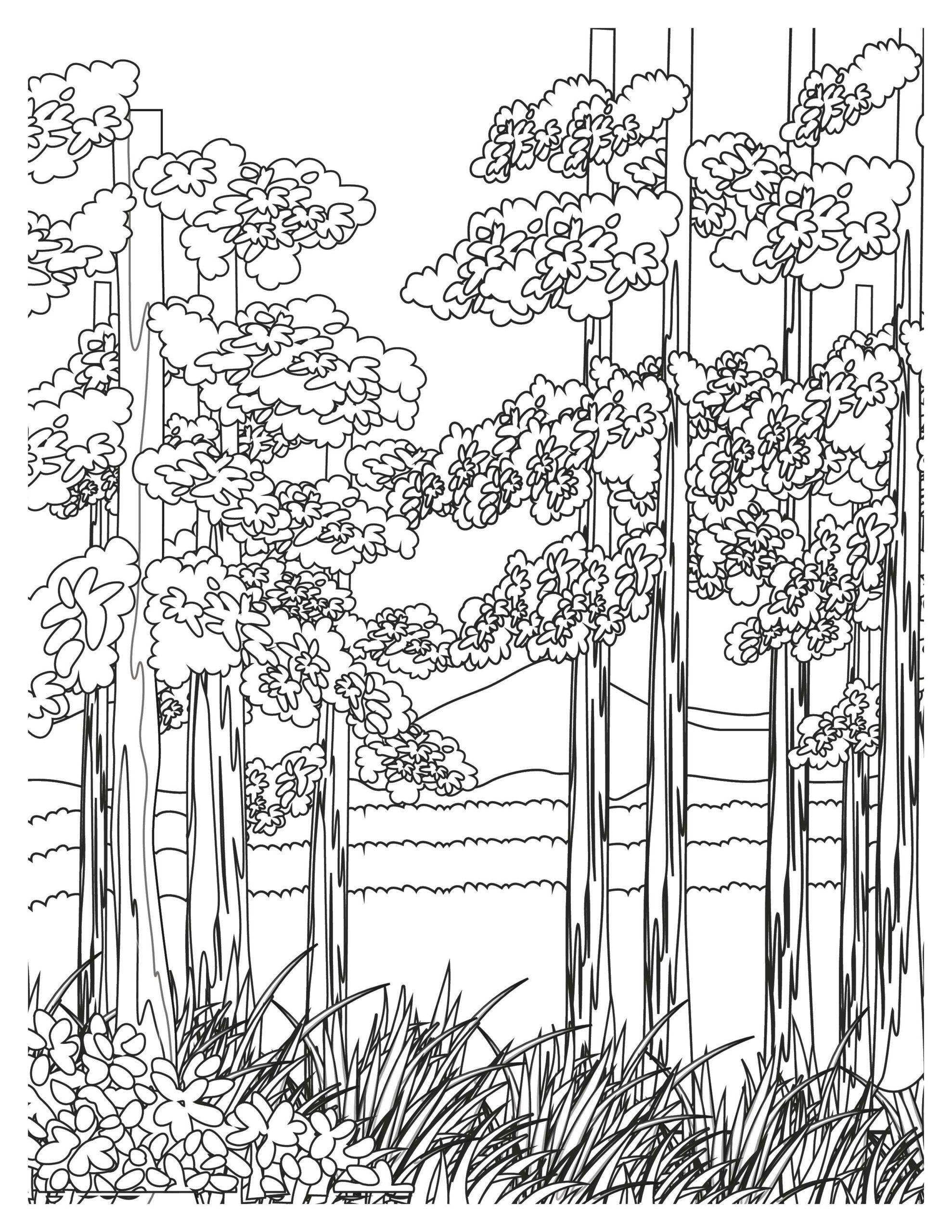 Enchanted Forest Coloring Pages: Creative Designs for All Ages