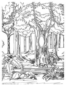 Enchanted Forest Coloring Pages: Creative Designs for All Ages