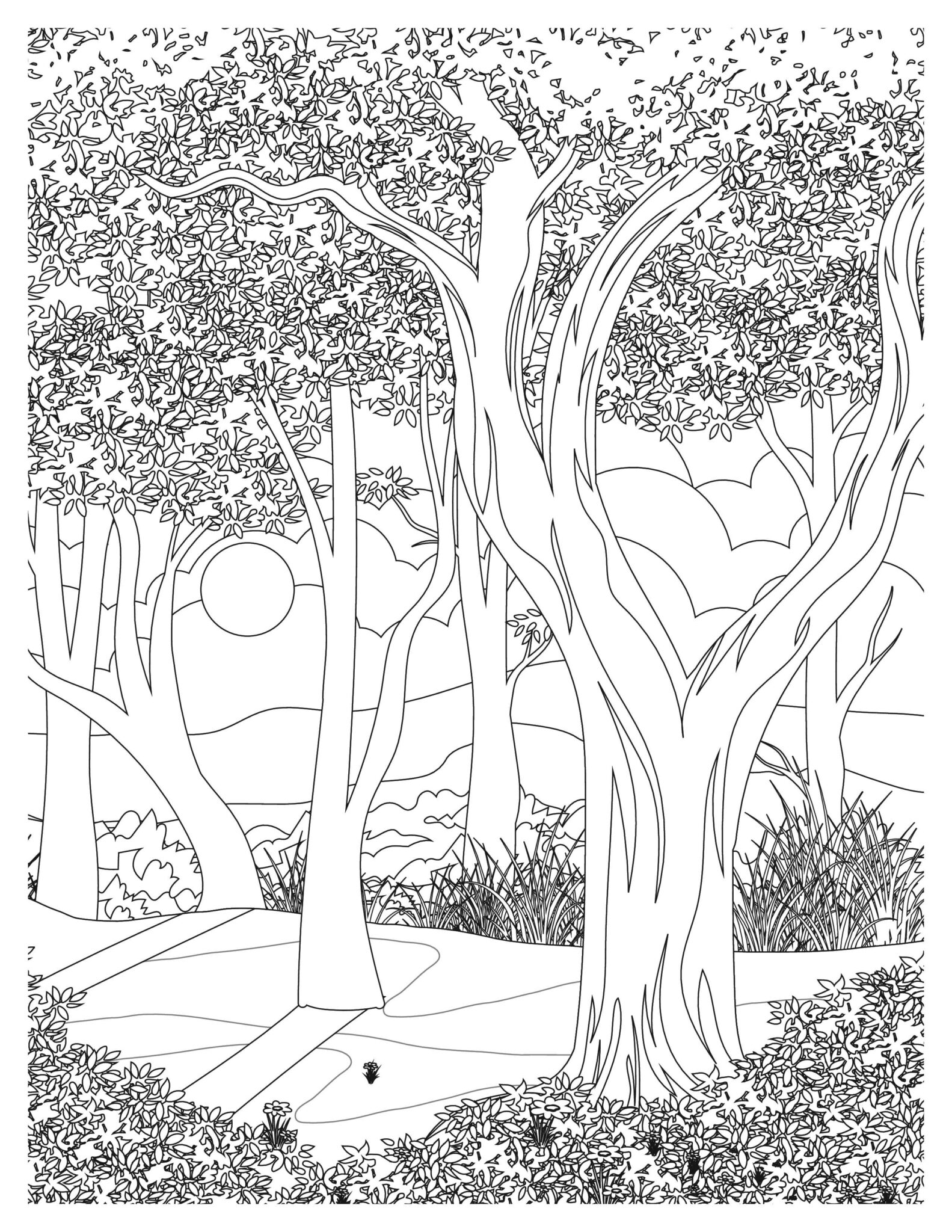 Enchanted Forest Coloring Pages: Creative Designs for All Ages