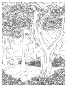 Enchanted Forest Coloring Pages: Creative Designs for All Ages