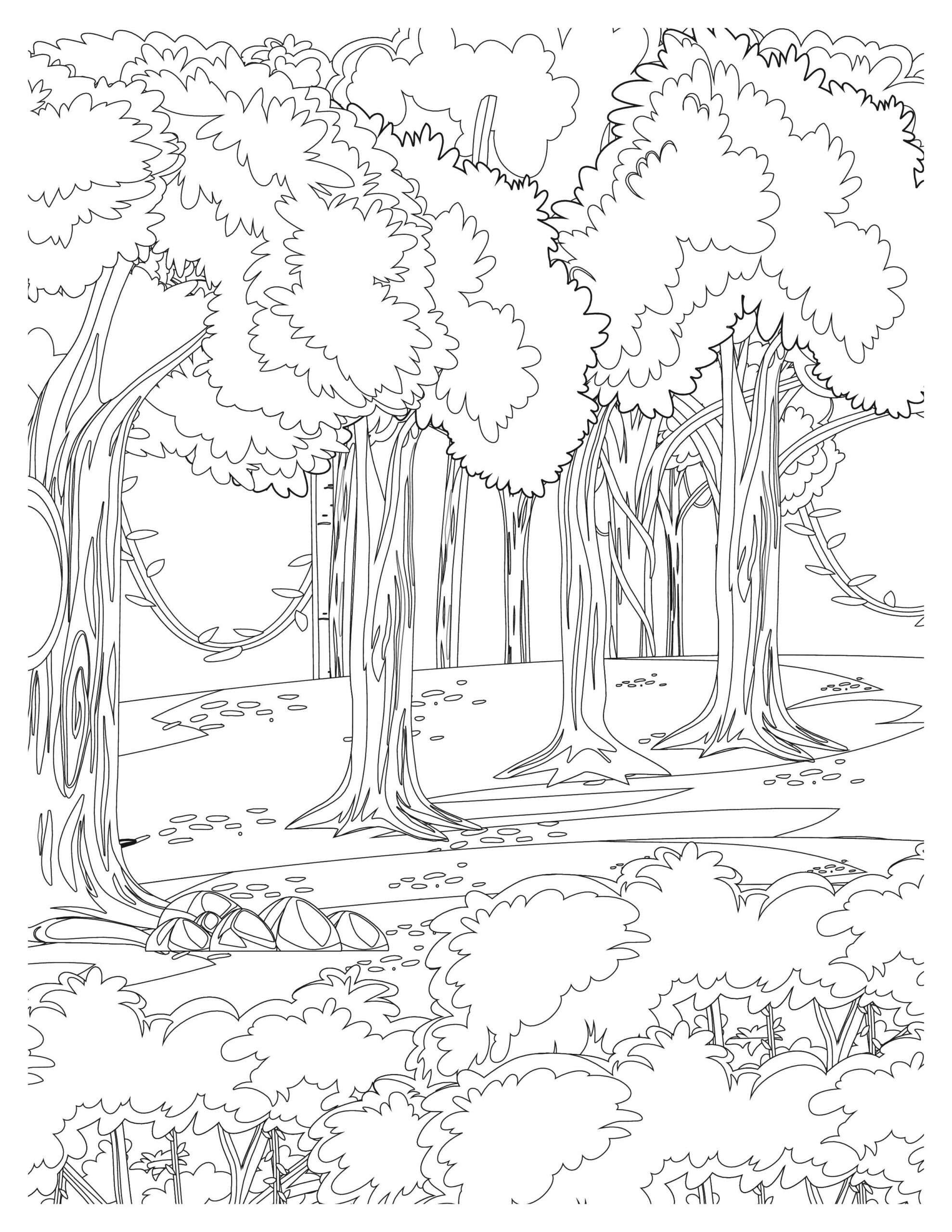 Enchanted Forest Coloring Pages: Creative Designs for All Ages
