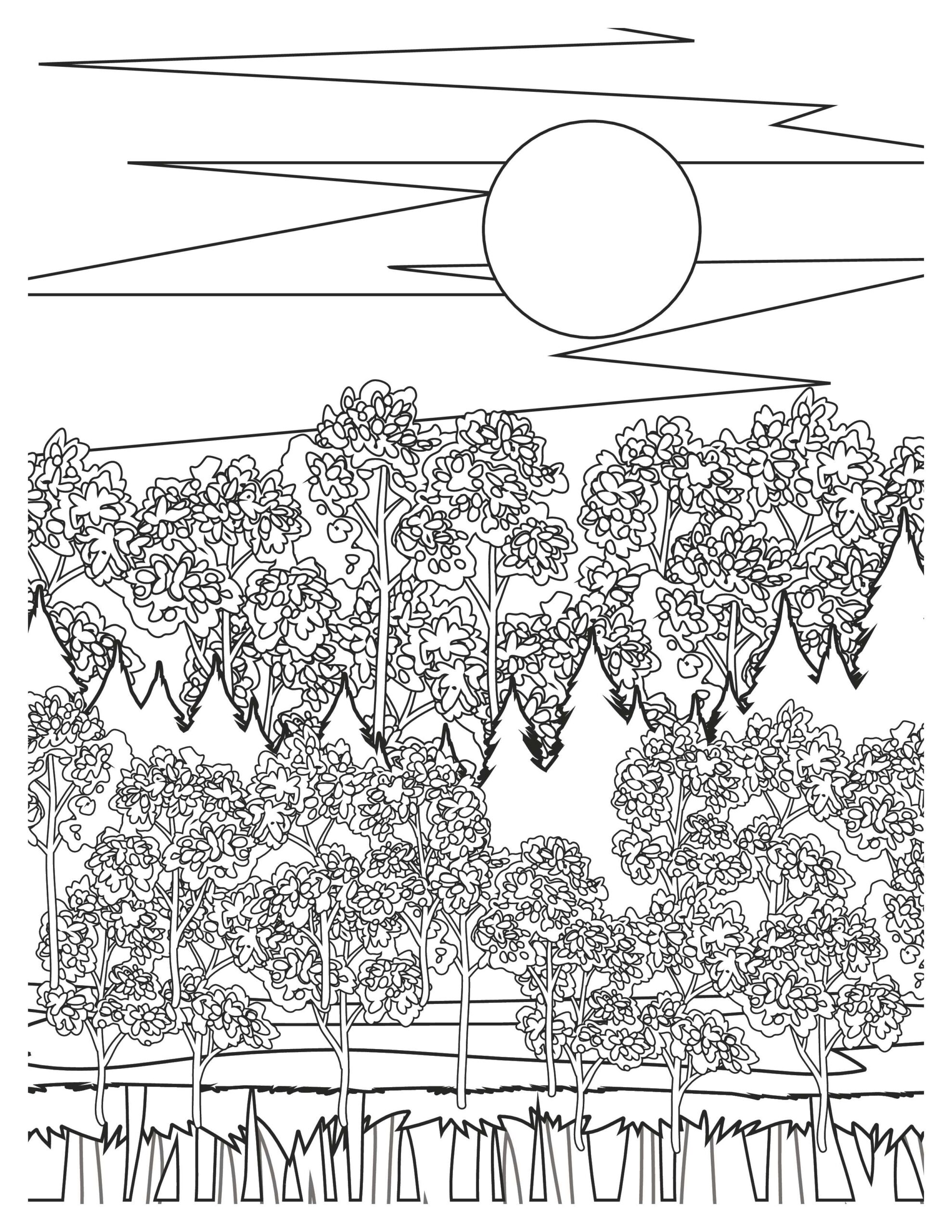 Enchanted Forest Coloring Pages: Creative Designs for All Ages