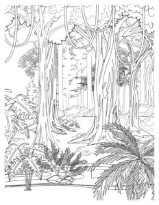 Enchanted Forest Coloring Pages: Creative Designs for All Ages