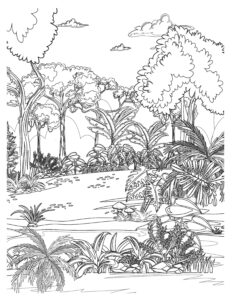 Enchanted Forest Coloring Pages: Creative Designs for All Ages