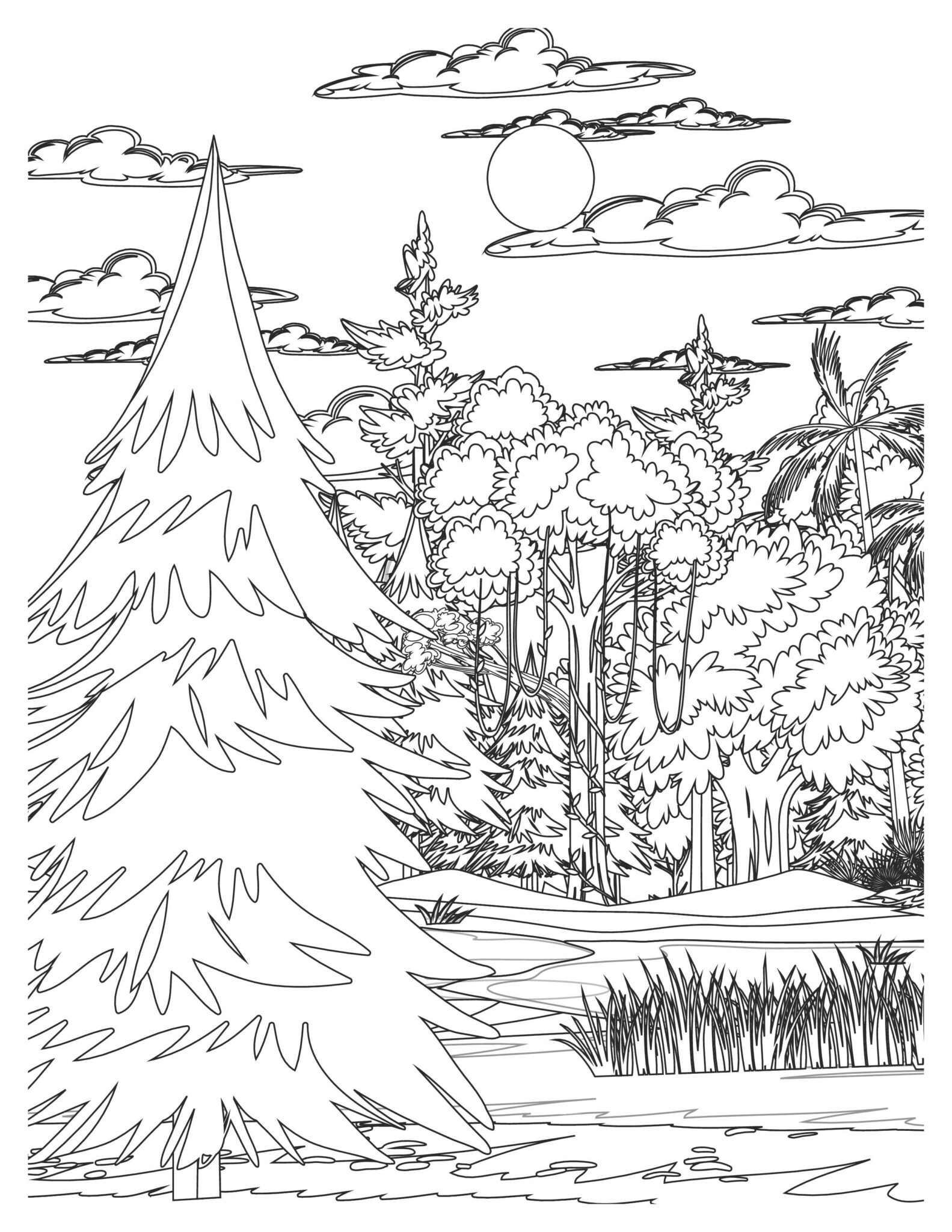 Enchanted Forest Coloring Pages: Creative Designs for All Ages