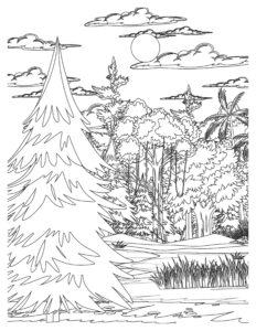 Enchanted Forest Coloring Pages: Creative Designs for All Ages