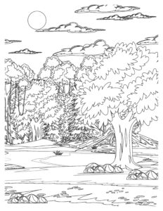Enchanted Forest Coloring Pages: Creative Designs for All Ages