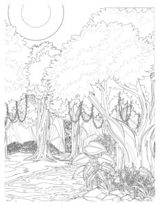 Enchanted Forest Coloring Pages: Creative Designs for All Ages