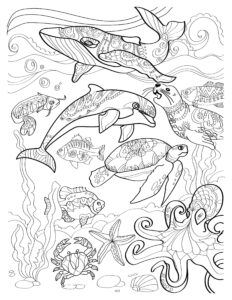 Sealife Coloring Pages: Dive into Marine Adventures