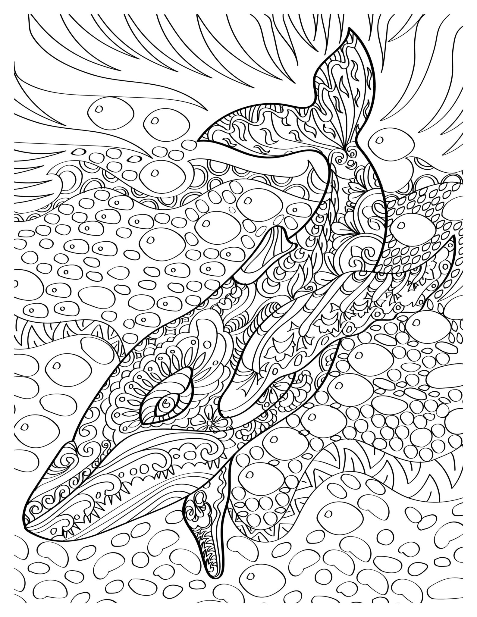 Sealife Coloring Pages: Dive into Marine Adventures