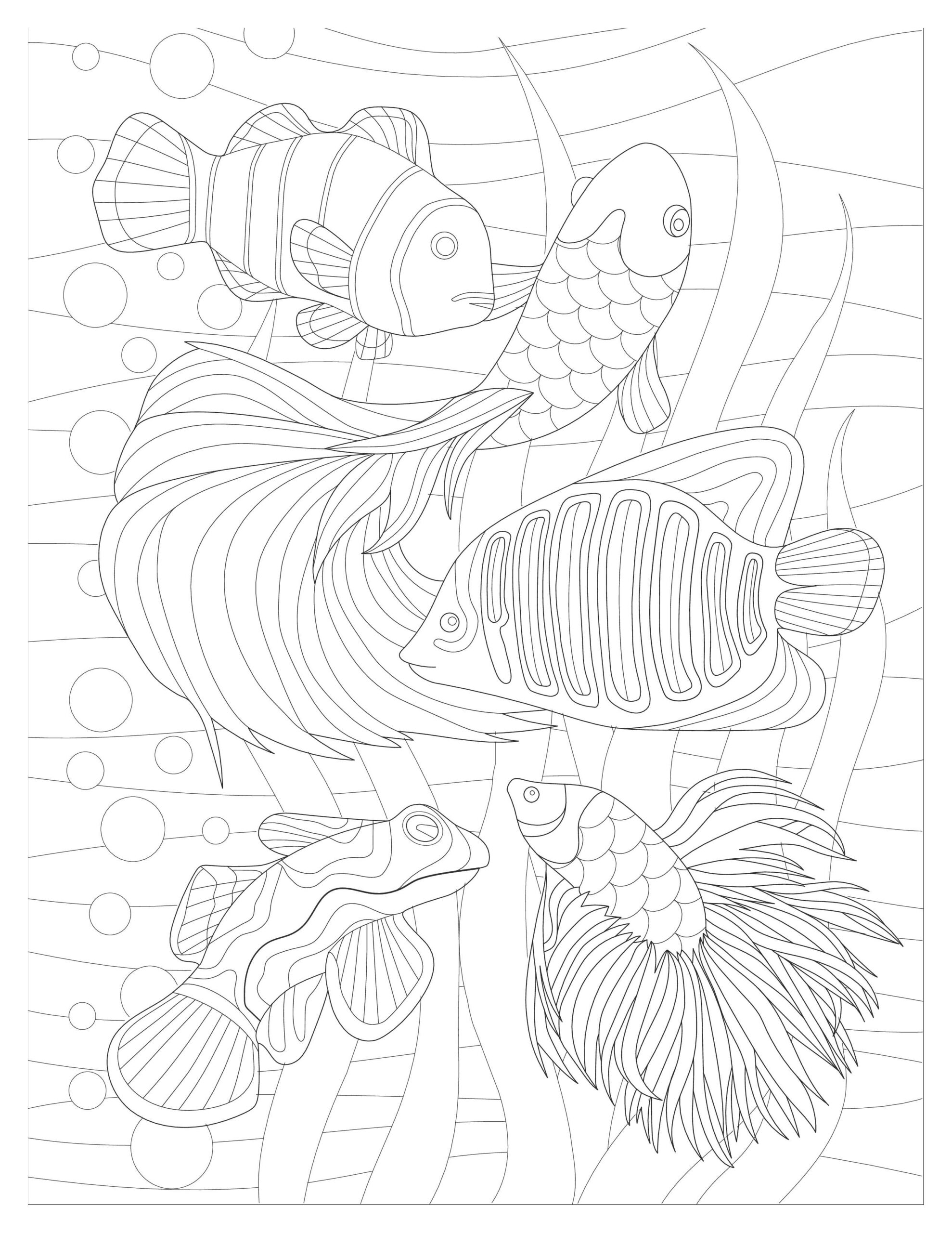 Sealife Coloring Pages: Dive into Marine Adventures