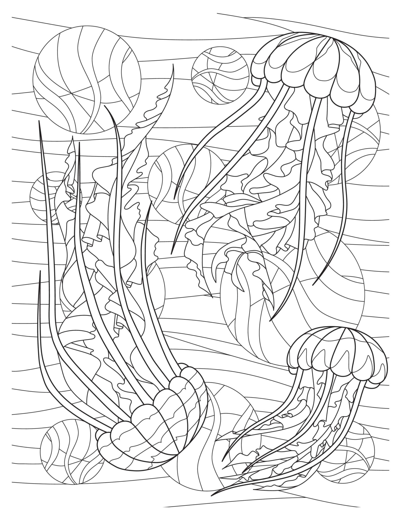 Sealife Coloring Pages: Dive into Marine Adventures