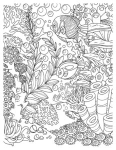 Sealife Coloring Pages: Dive into Marine Adventures