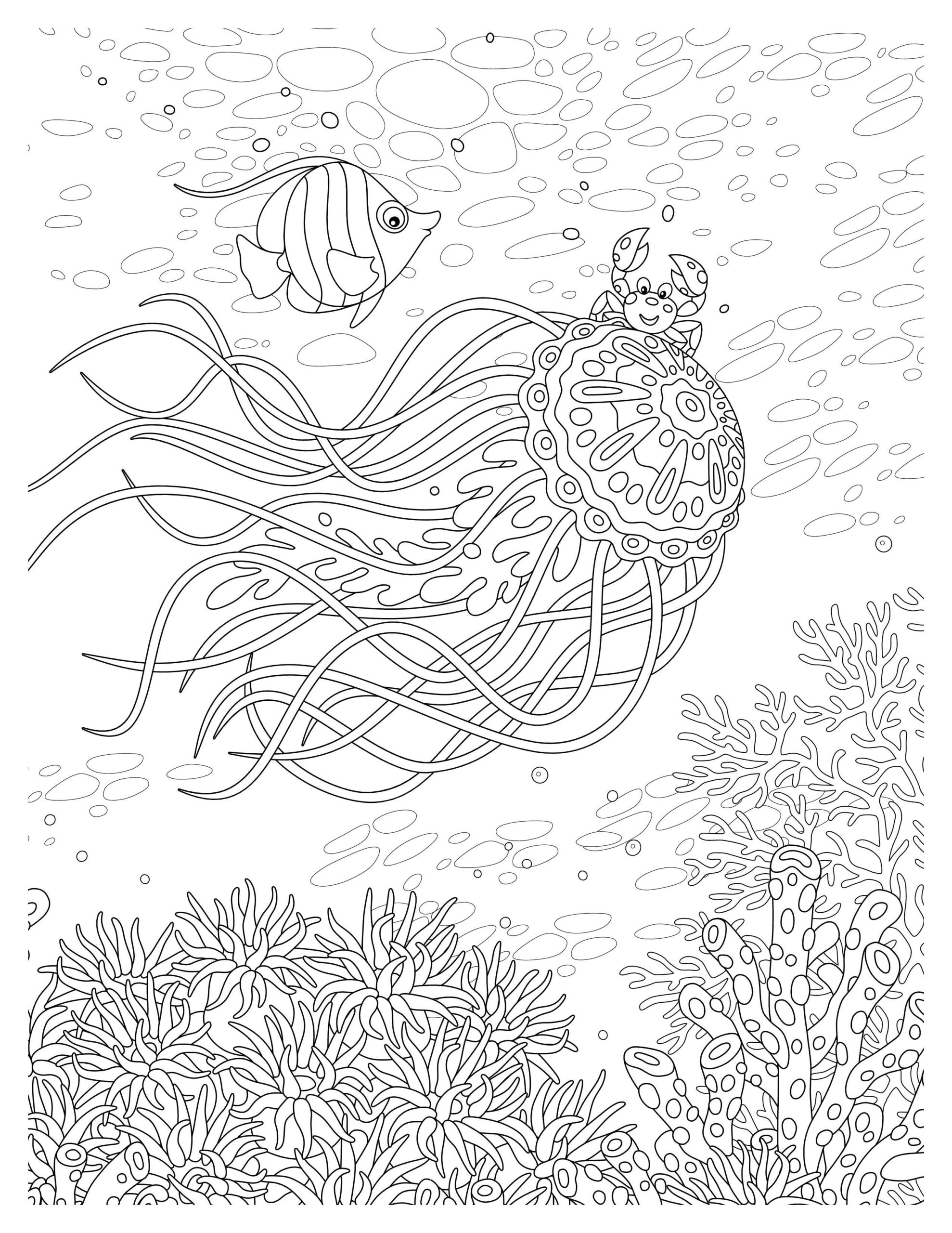 Sealife Coloring Pages: Dive into Marine Adventures