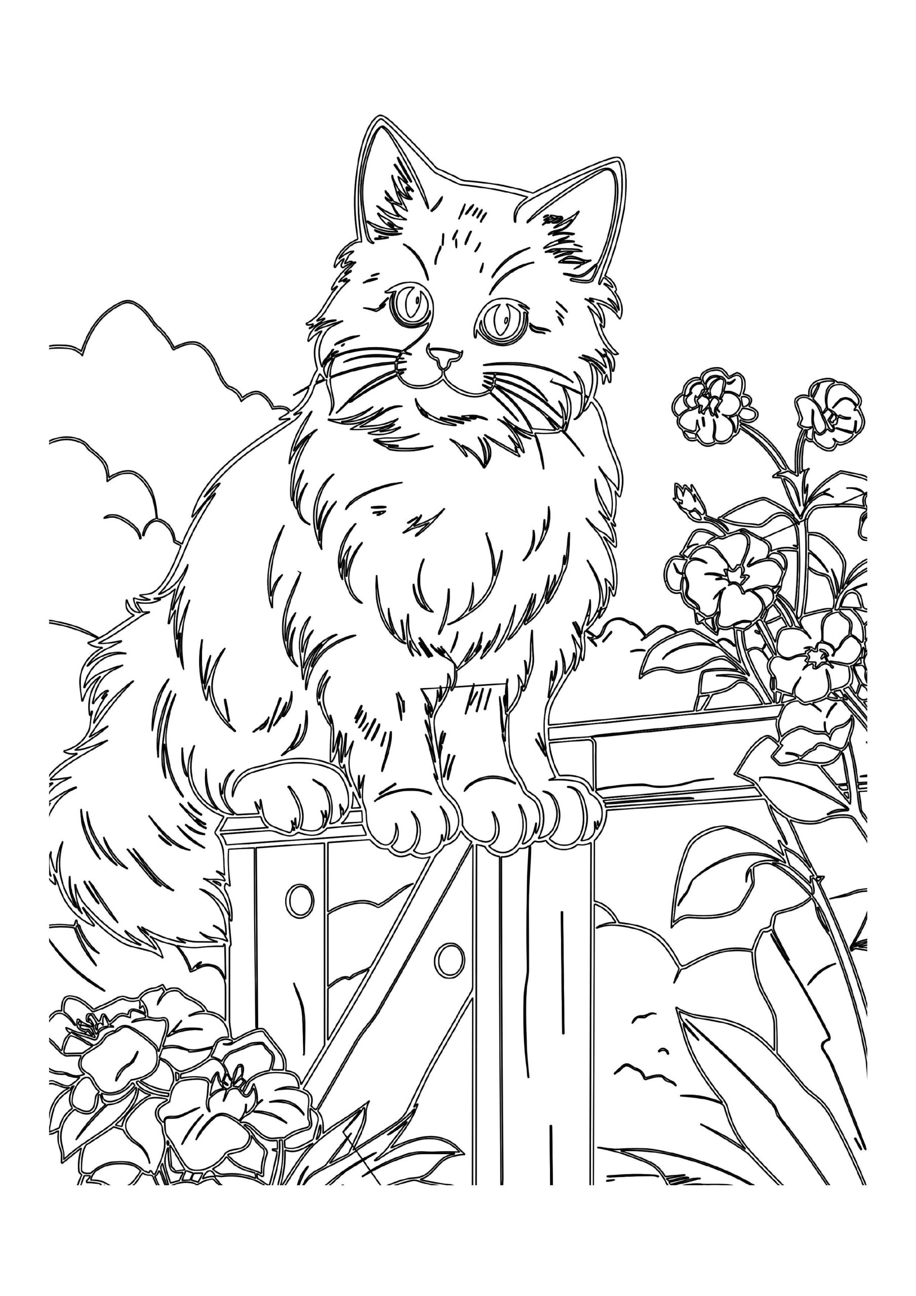 Curious Cat Coloring Pages I Fun Activities for Children