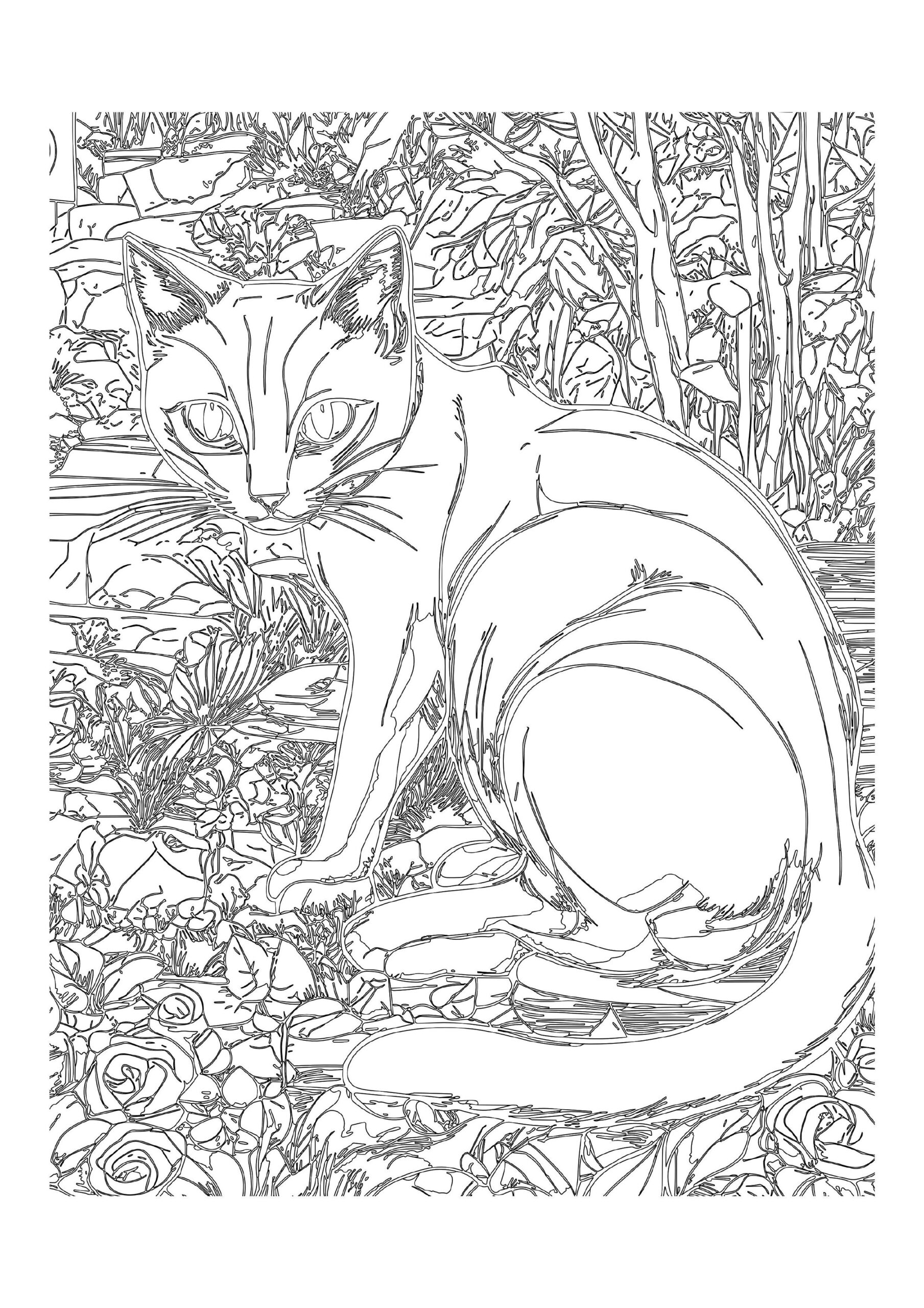 Curious Cat Coloring Pages I Fun Activities for Children