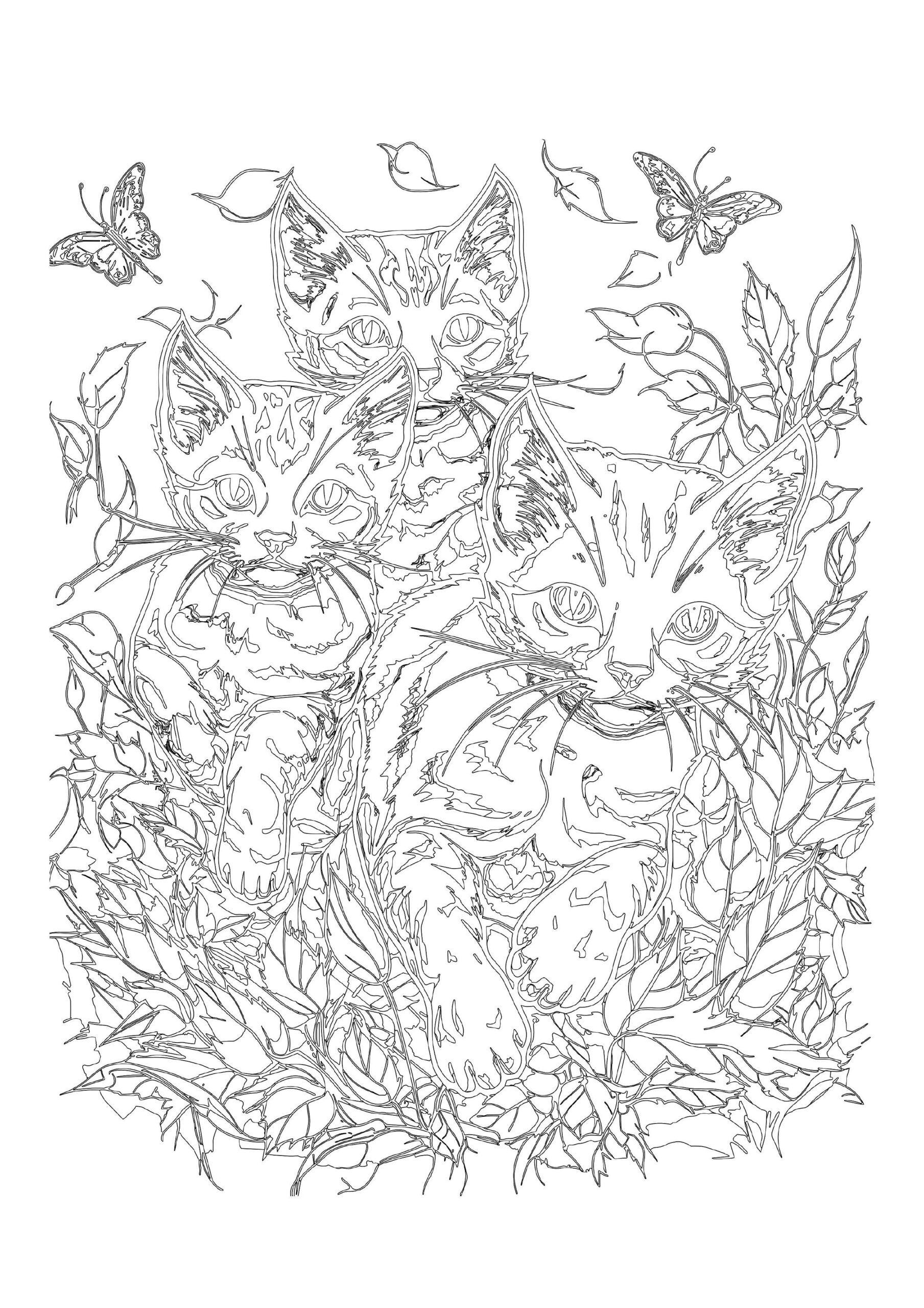 Curious Cat Coloring Pages I Fun Activities for Children