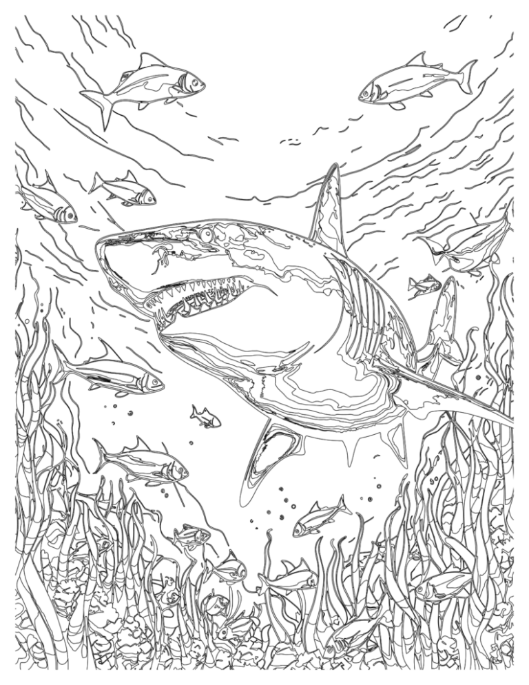 Shark Adventure Coloring Pages: Dive into Ocean Fun