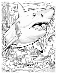 Shark Adventure Coloring Pages: Dive into Ocean Fun