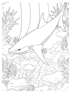 Shark Adventure Coloring Pages: Dive into Ocean Fun
