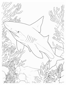Shark Adventure Coloring Pages: Dive into Ocean Fun