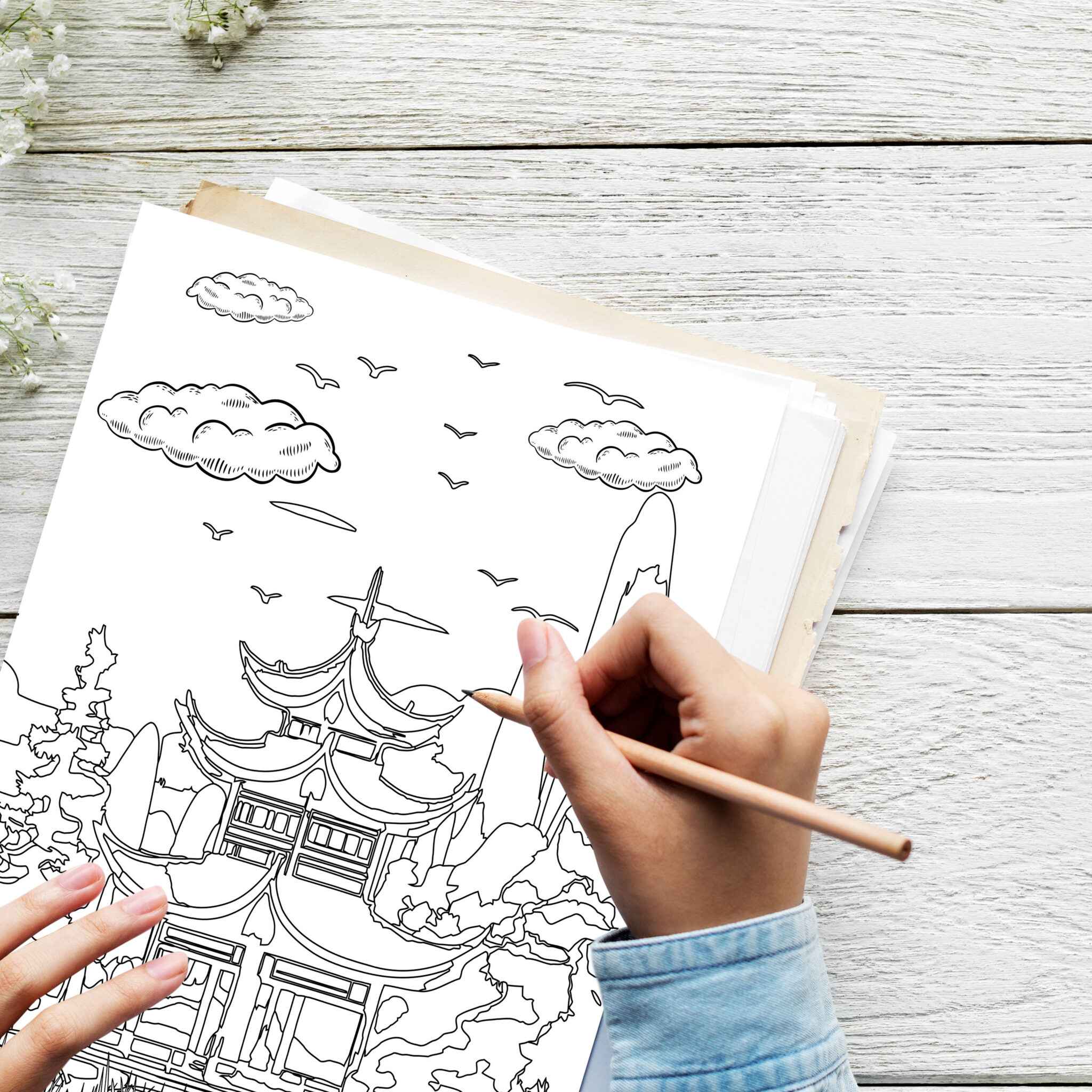 Tranquil Zen Garden Coloring Pages | Calm Your Mind