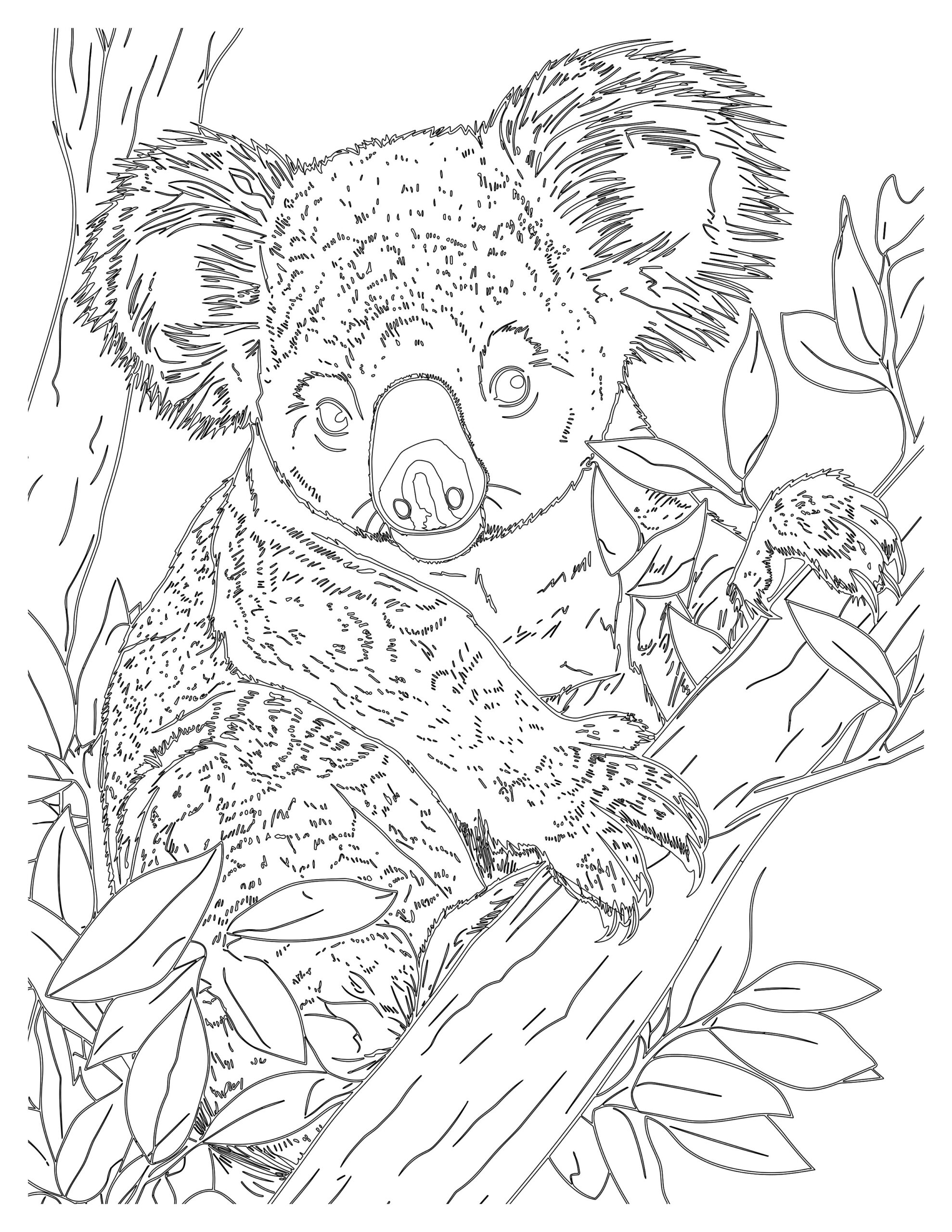 Koala Haven Coloring Pages: Adorable Printable Designs For Kids