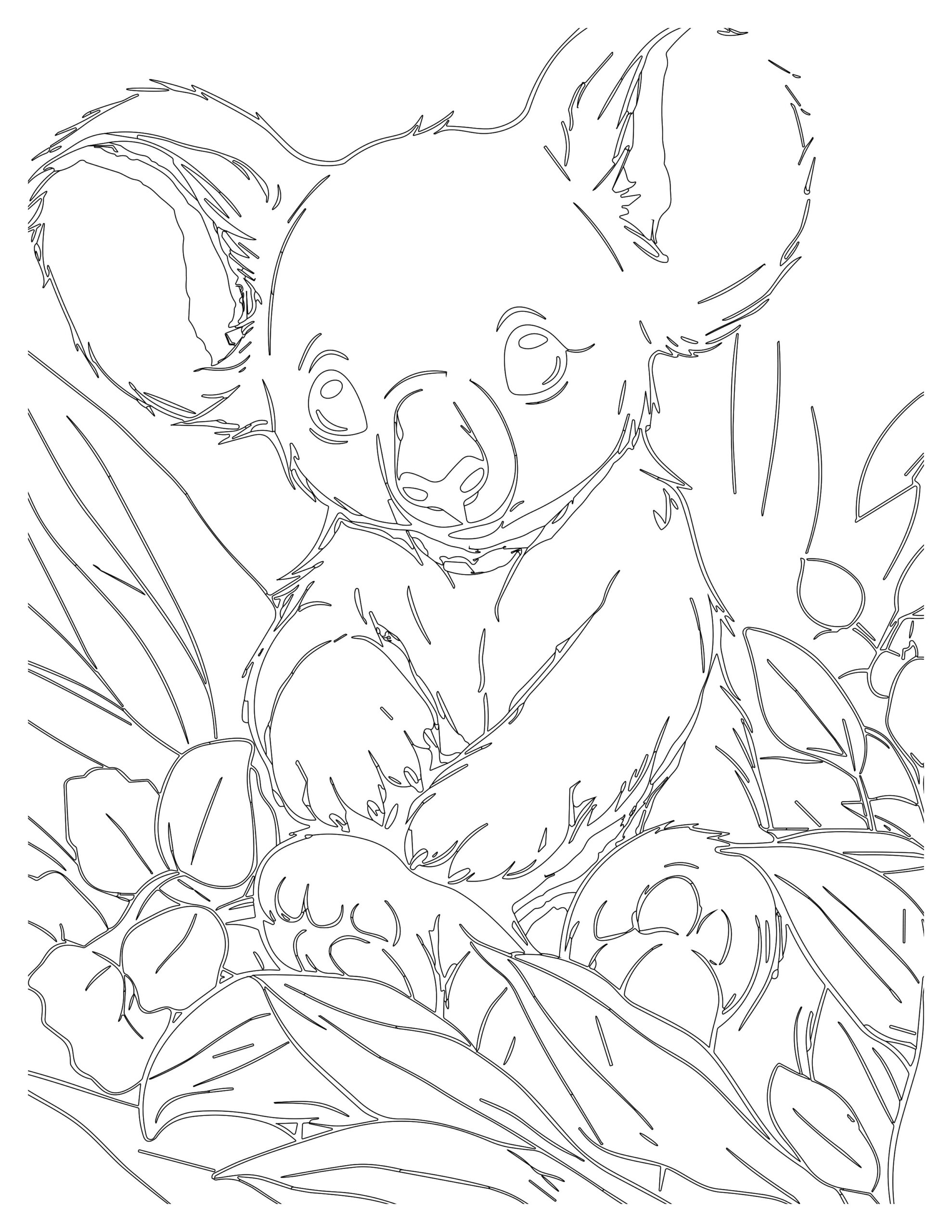 Koala Haven Coloring Pages: Adorable Printable Designs For Kids