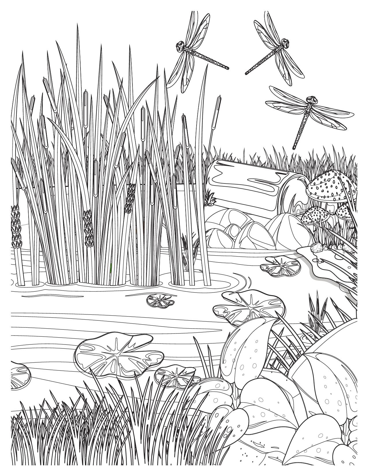 Water Garden Coloring Pages |Relaxing Coloring Page"