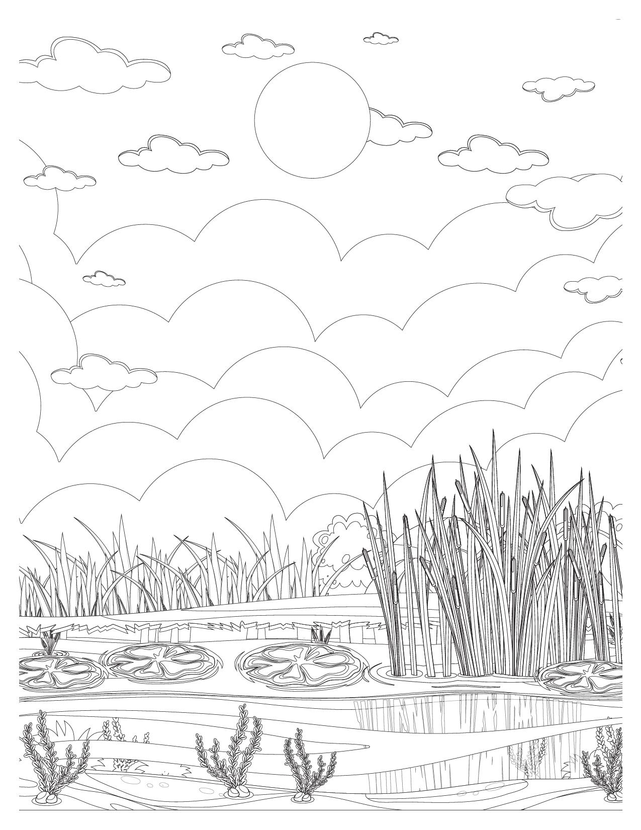 Water Garden Coloring Pages |Relaxing Coloring Page"
