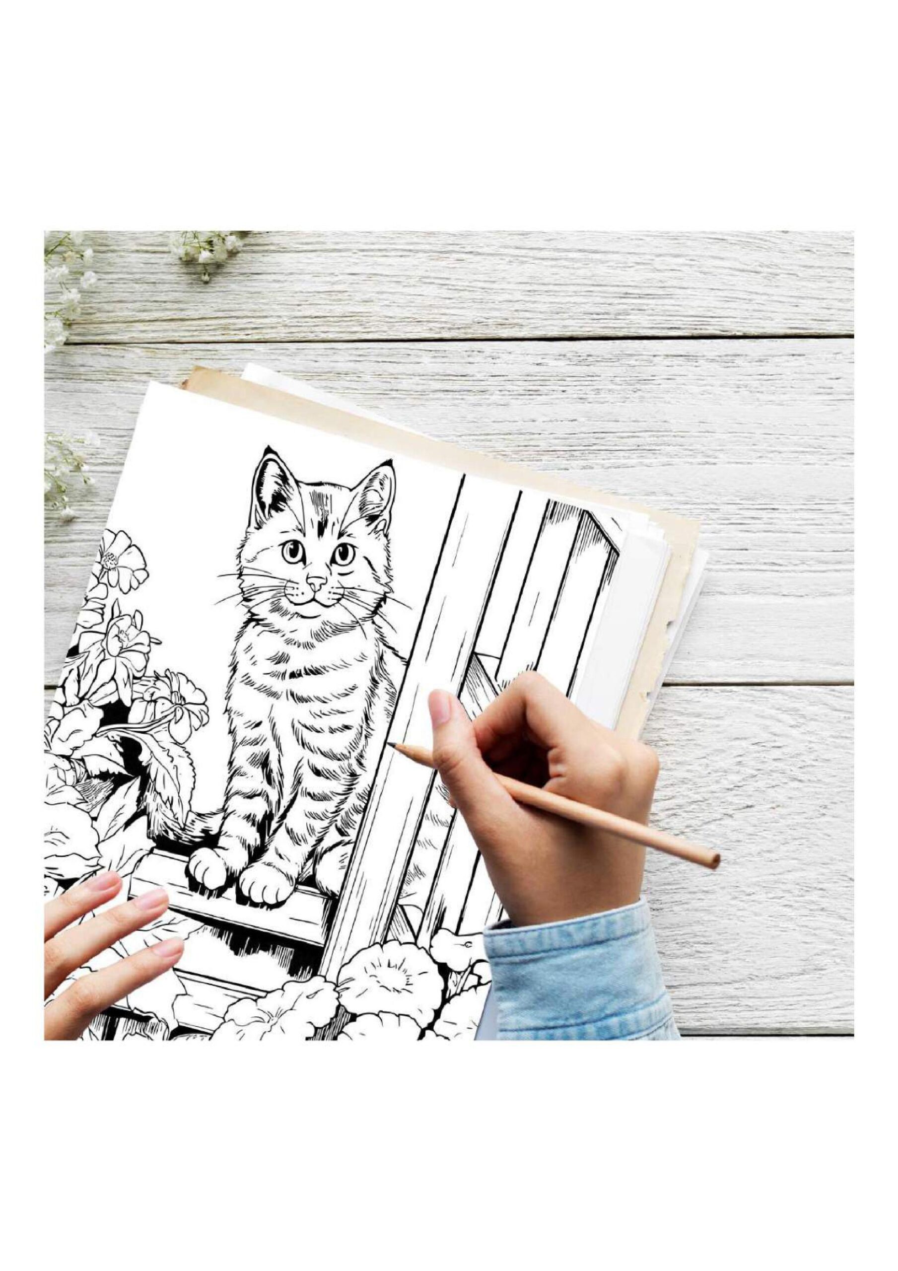 Curious Cat Coloring Pages I Fun Activities for Children