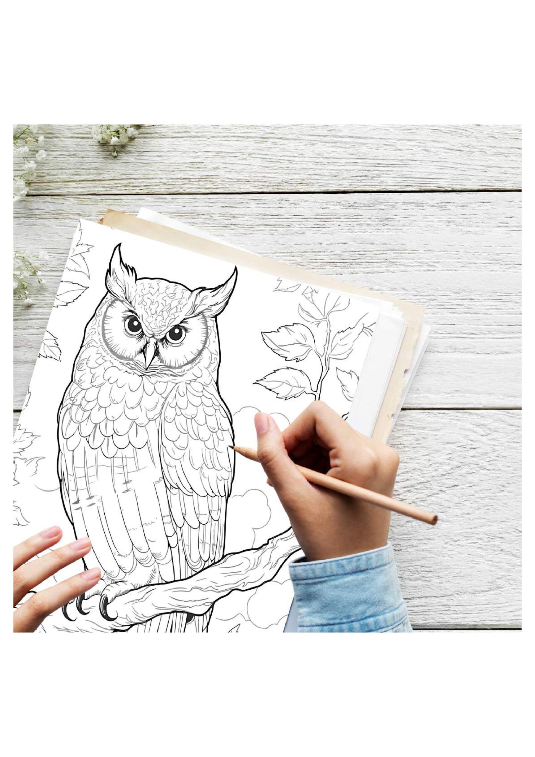 Wise Owl Coloring Pages For Kids | Free Printable Sheets